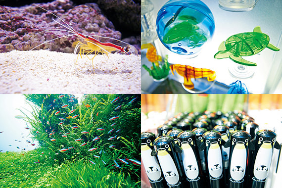 [Part 2] Make Use of Wide-angle Lens Characteristics